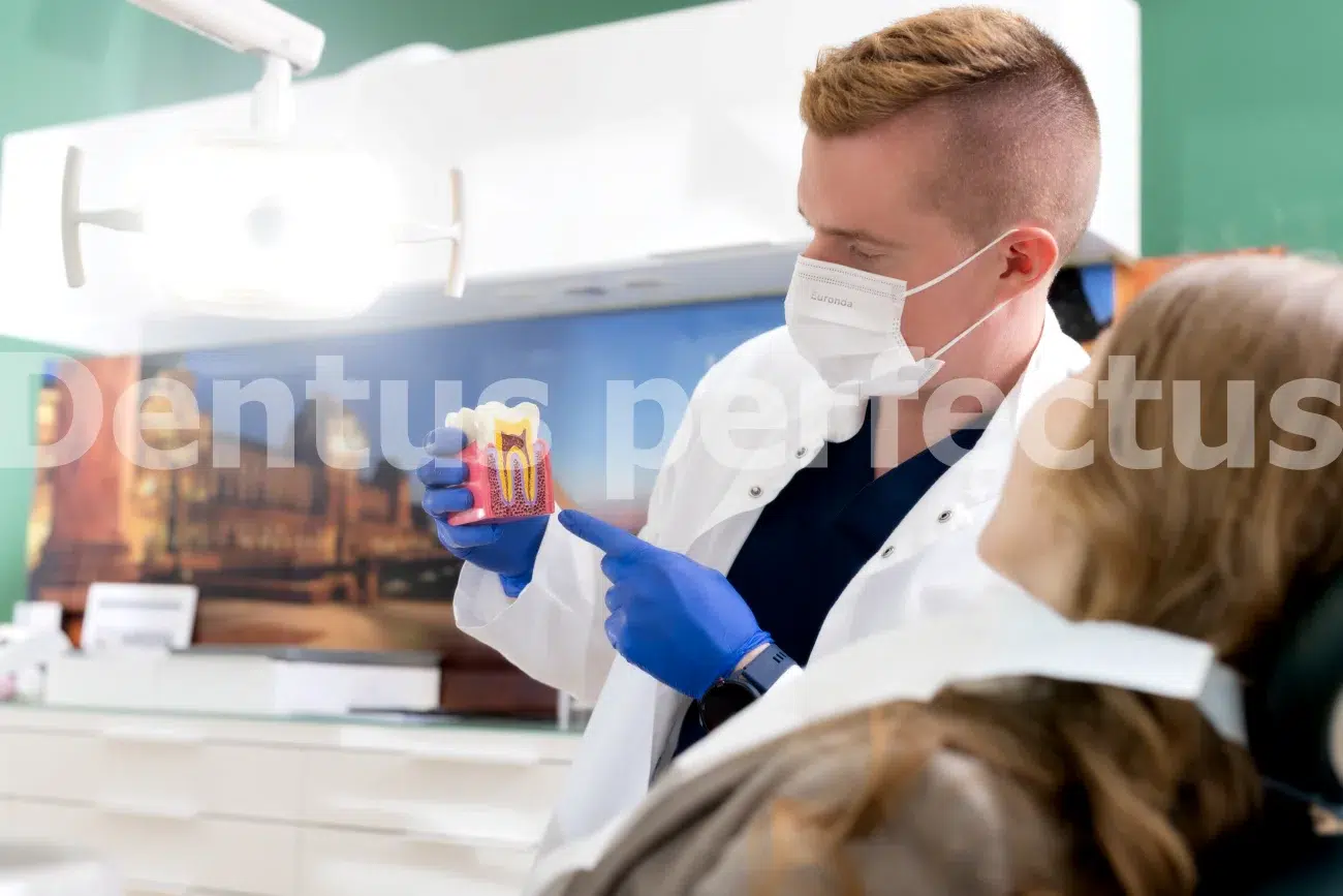 Root Canal Treatment - Relief to Save Your Tooth | Dentus perfectus ...